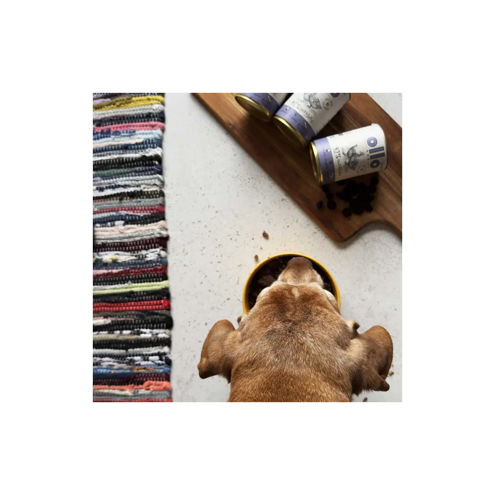 Wet dog food OLLO Umami Duck and Turkey 850 g | AiO.lv