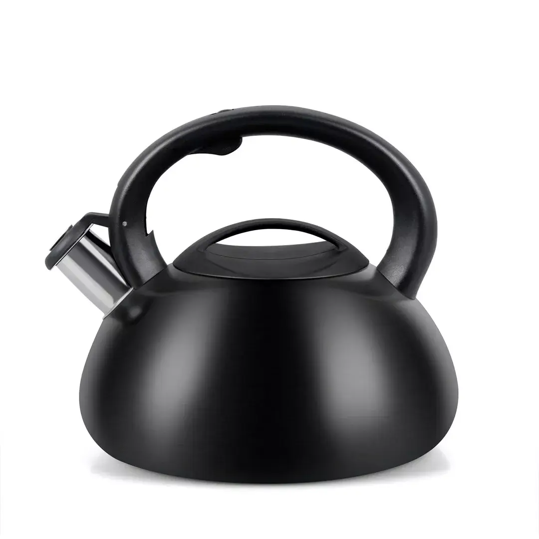Kettle PROMIS TMC01BS 3 L | AiO.lv