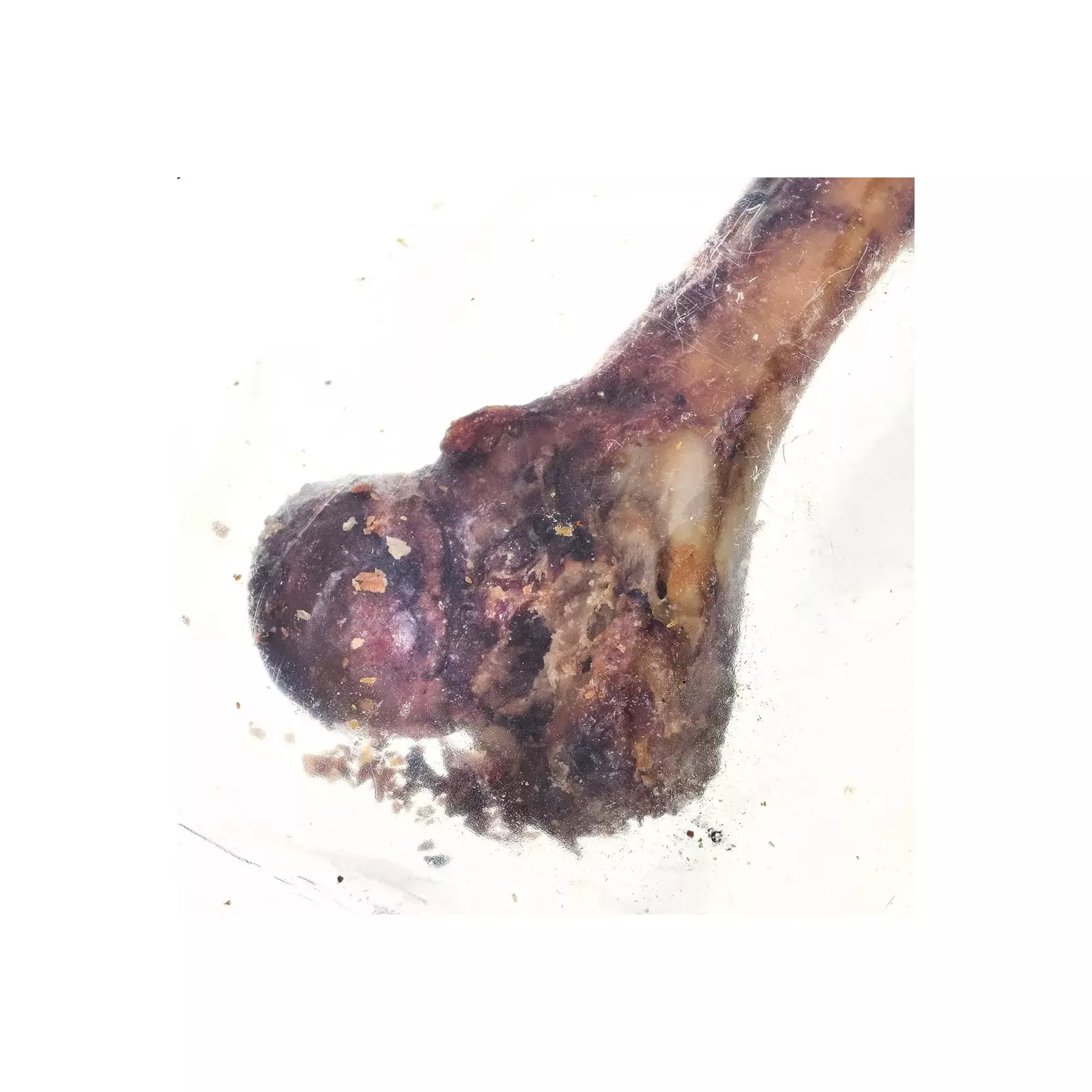 Dog chew PETMEX Ham bone 1 pc | AiO.lv